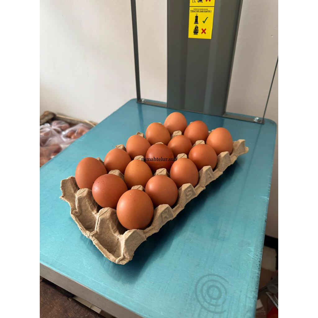 Jual Telur Ayam Negri isi 15 Pcs , telur ayam negri termasuk tray ...