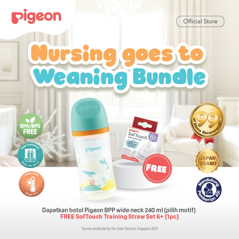 Jual PIGEON Nursing Goes To Weaning Bundle | Botol BPP 240ml | SofTouch ...