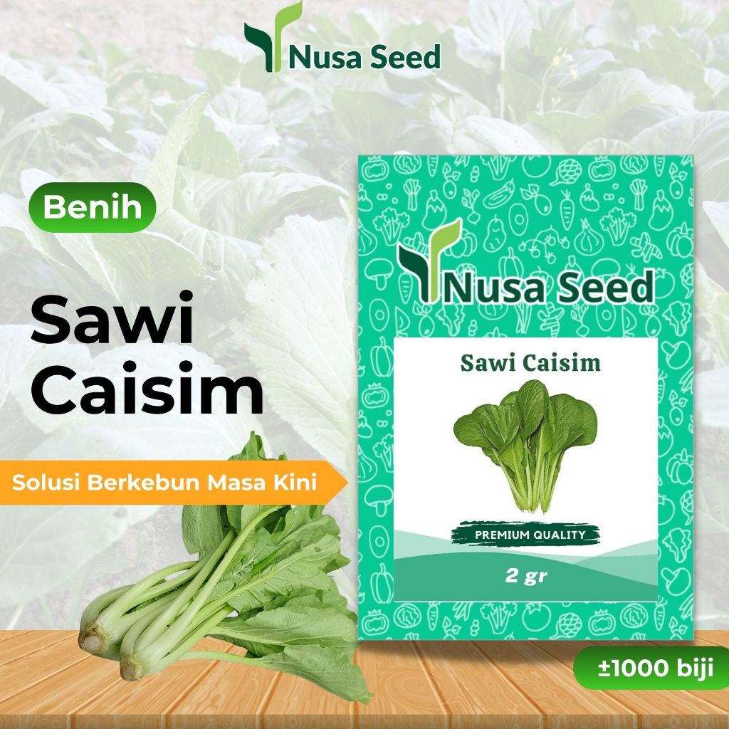 Jual Nusa Seed – Benih Sawi Caisim Manis 2g Premium Mudah Tumbuh ...