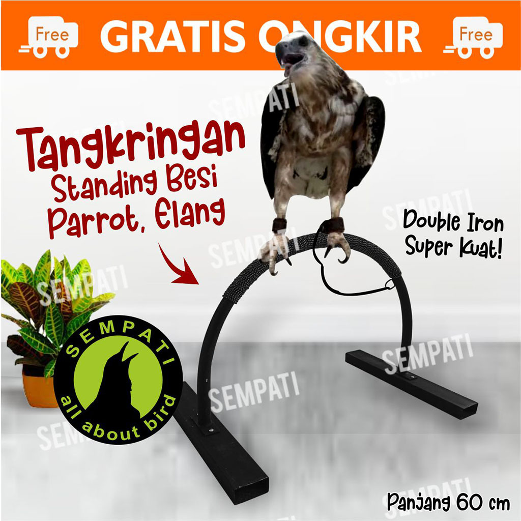 Jual SEMPATI Tangkringan D Tangkringan Stand Burung Elang Hantu Parrot ...