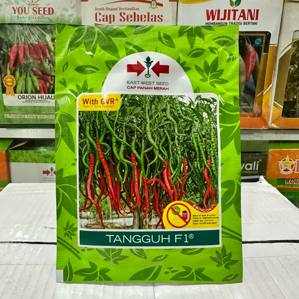 Jual Benih Cabai Tangguh F1 Kemasan 2000 Butir - Bibit Cabe Keriting ...