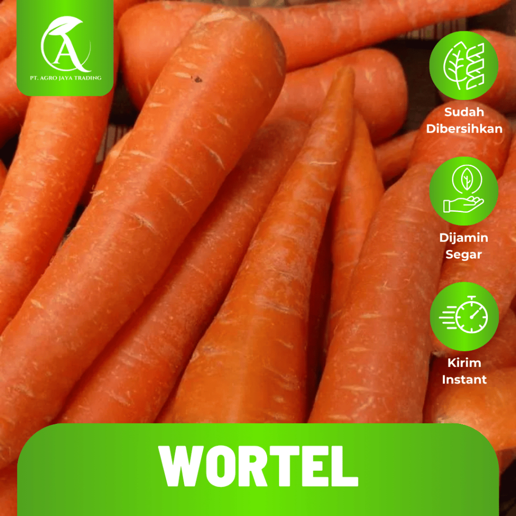 Jual Wortel Segar Fresh Premium Ukuran Mini & Wortel Brastagi 1kg Manis ...