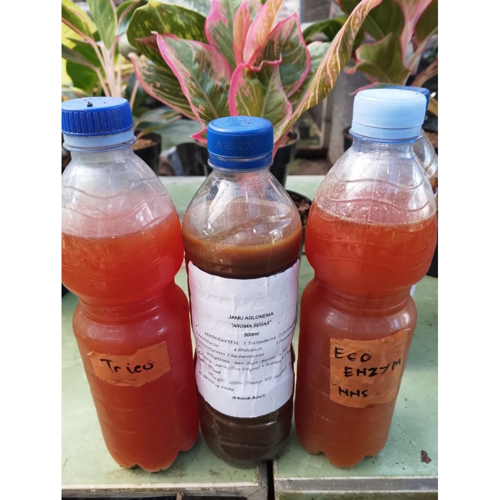 Jual Paket POC+TRICHODERMA CAIR+ECO ENZYM | Shopee Indonesia