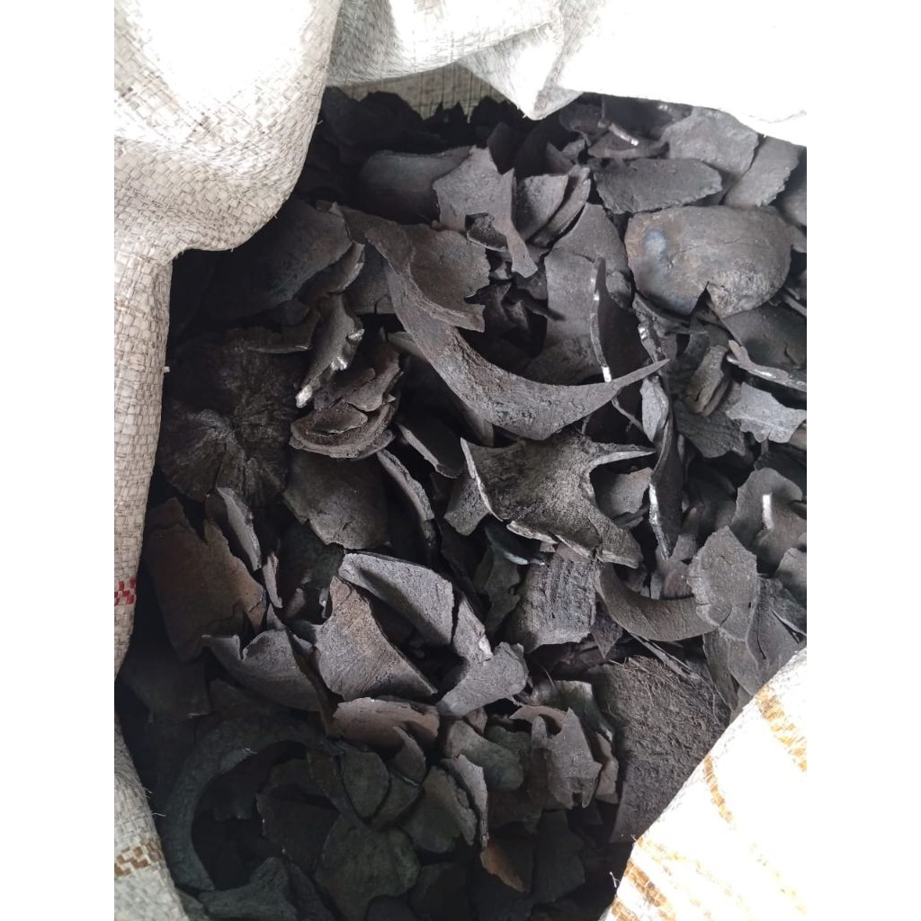 Jual Areng Batok/Areng Batok Kelapa Asli/isi 7 kg Areng Batok/Areng ...