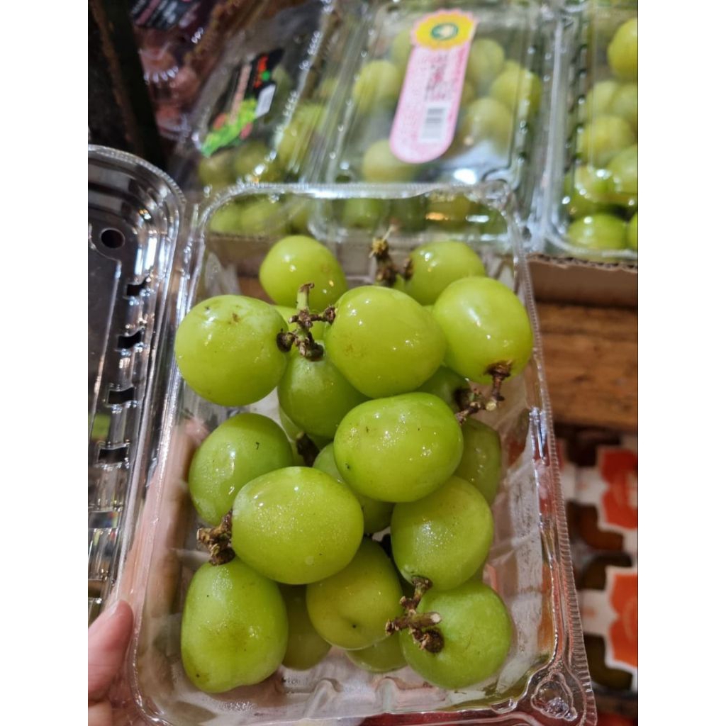 Jual Anggur Muscat 500grm | Shopee Indonesia