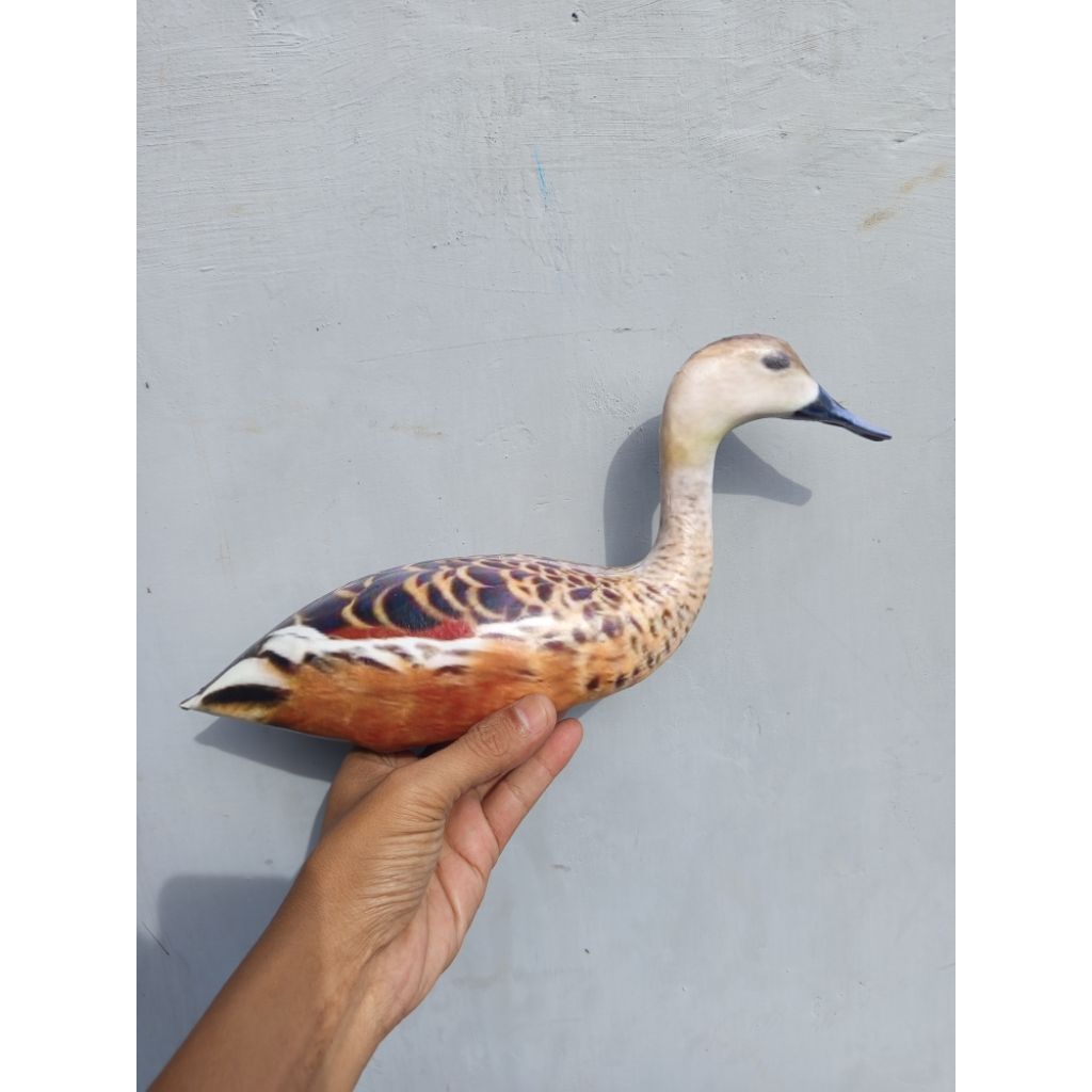 Jual BELIBIS KEMBANG bisa ngambang di air DEKORASI TAMAN PATUNG BURUNG ...