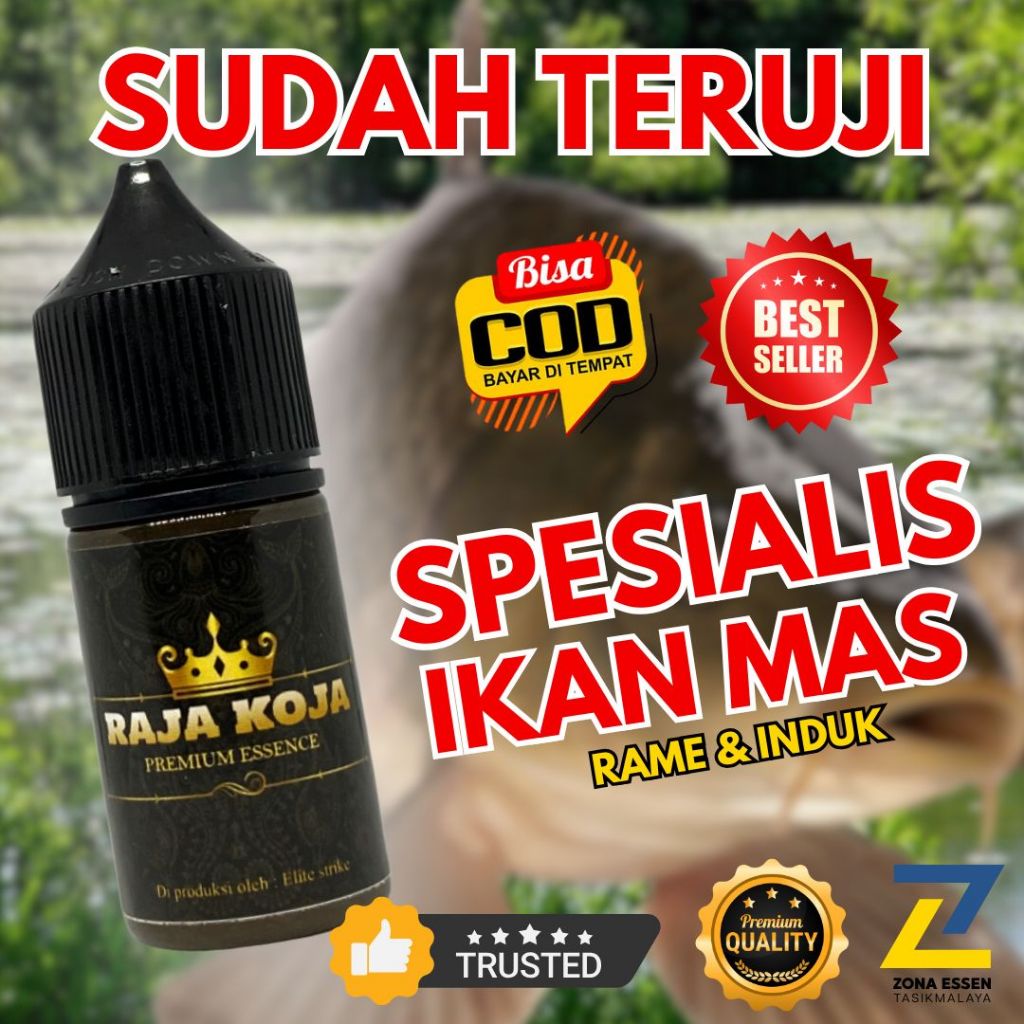 Jual Essen Premium Raja Koja Original Umpan Mancing Spesialis Ikan Mas ...