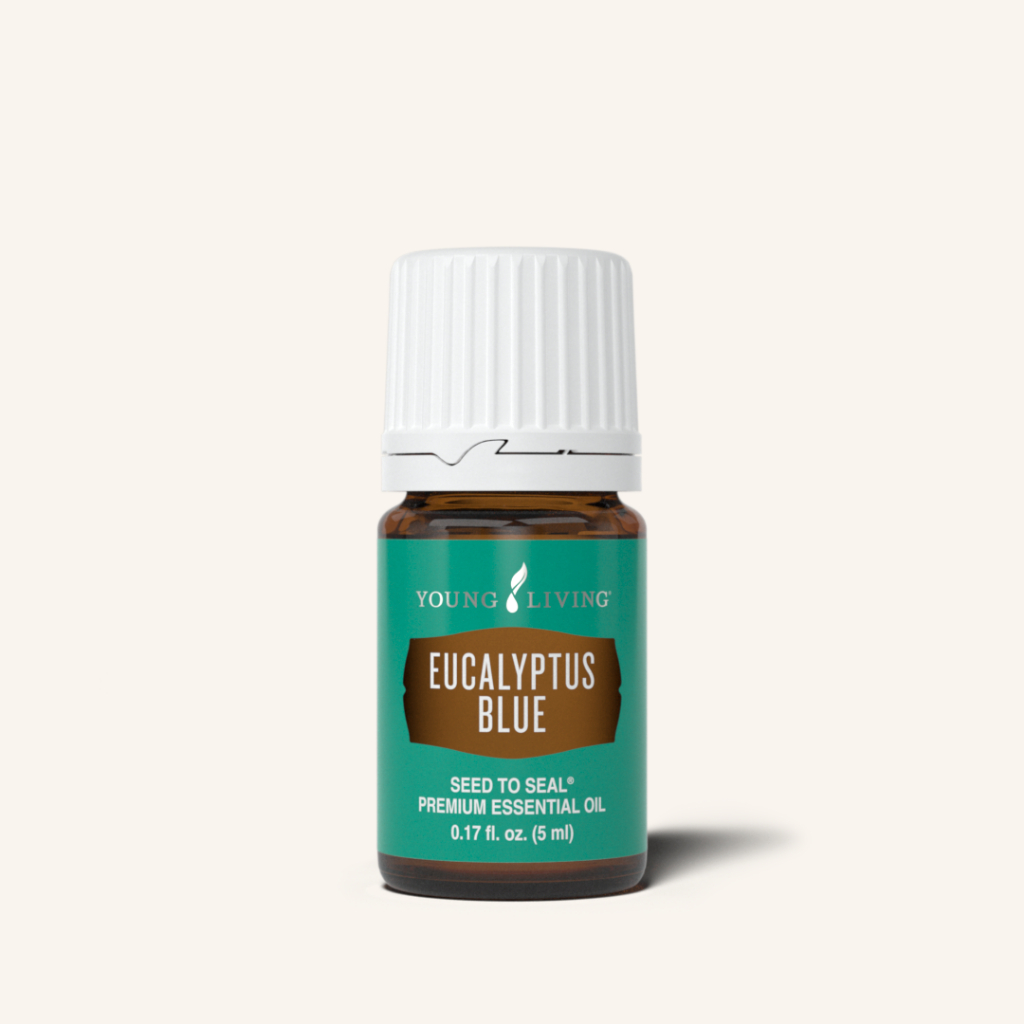 Jual Young Living Eucalyptus Blue Essential Oil 5ml | Shopee Indonesia