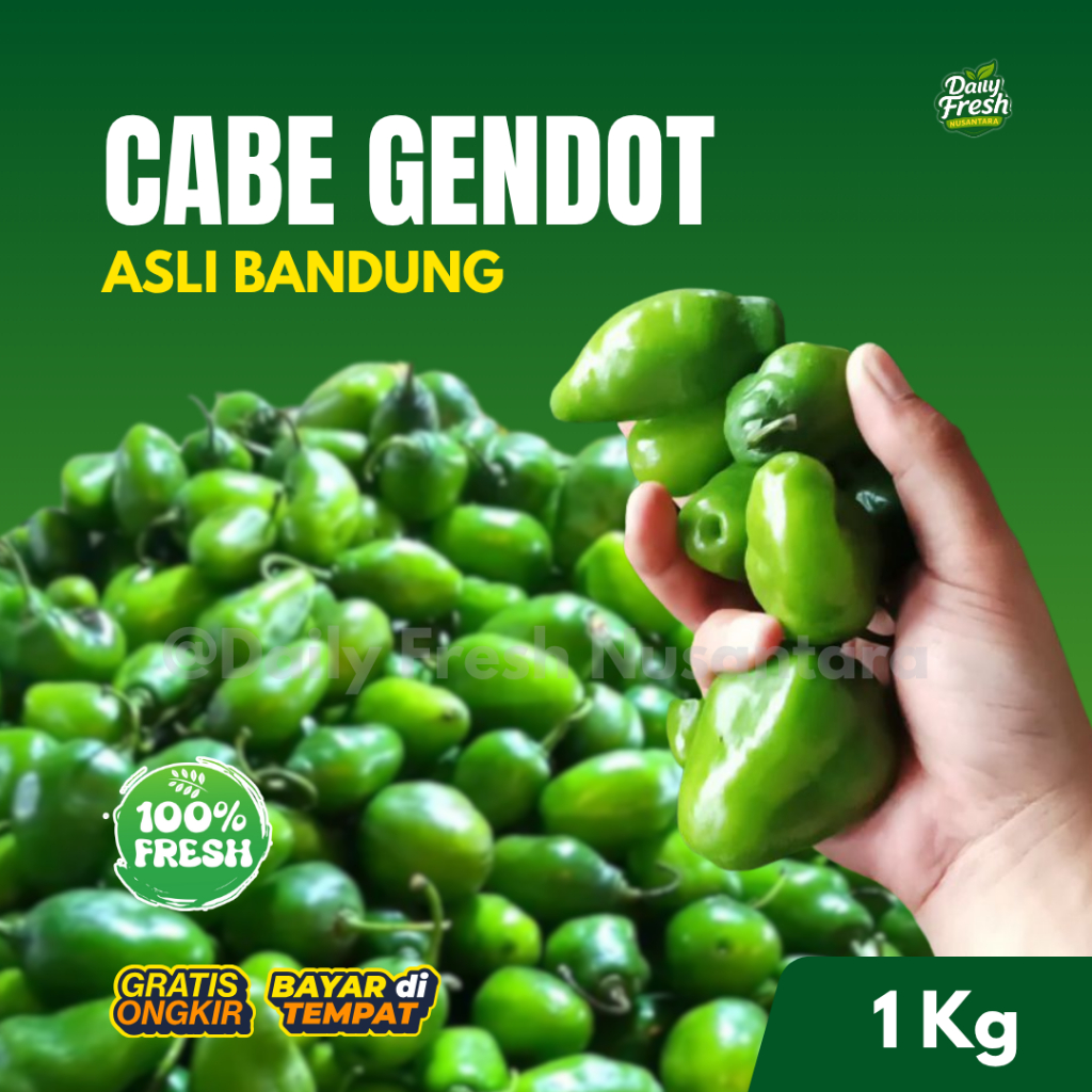 Jual Cabe / Cabai Gendot Segar Lokal Berkualitas 1 Kg – Fresh Setiap ...
