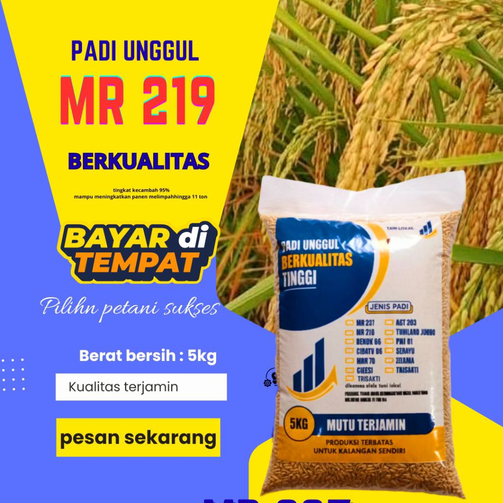 Jual BENIH PADI MR 219 KEMASAN 5KG | Shopee Indonesia