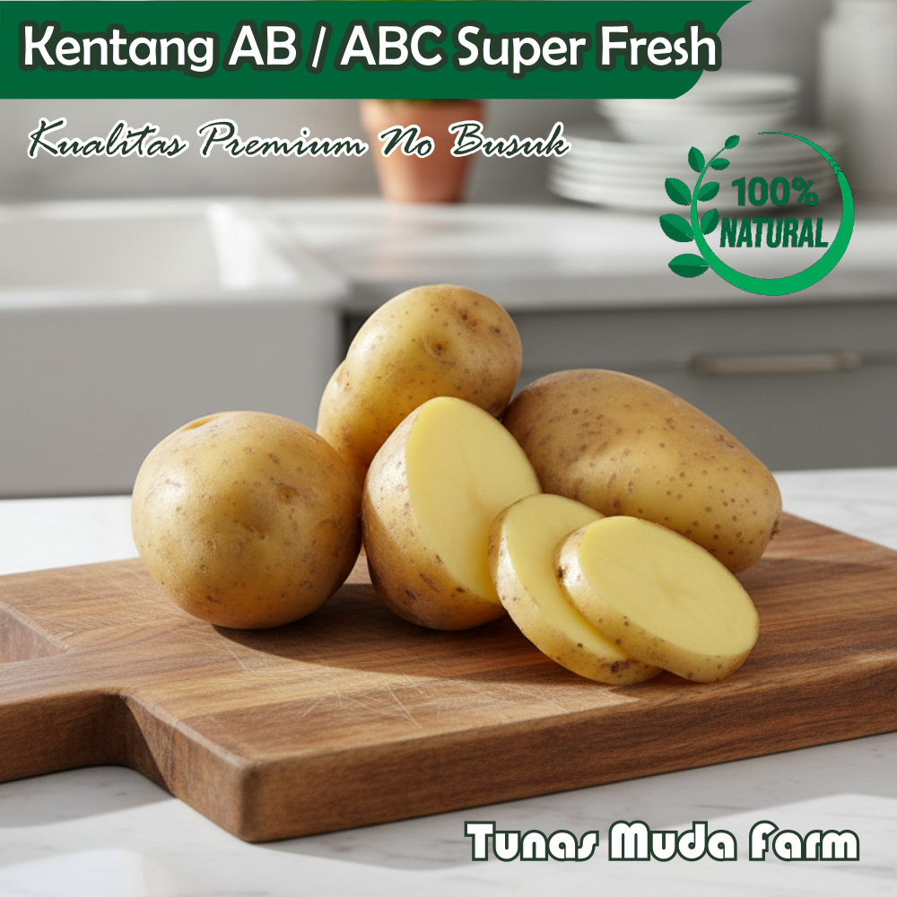 Jual Kentang Besar ukuran AB/ABC 1 Kg fresh | Shopee Indonesia