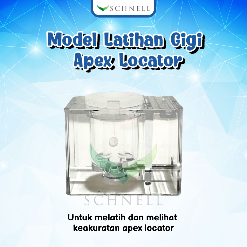 Jual Model Latihan Gigi Apex Locator / Phantom Training Tooth ...