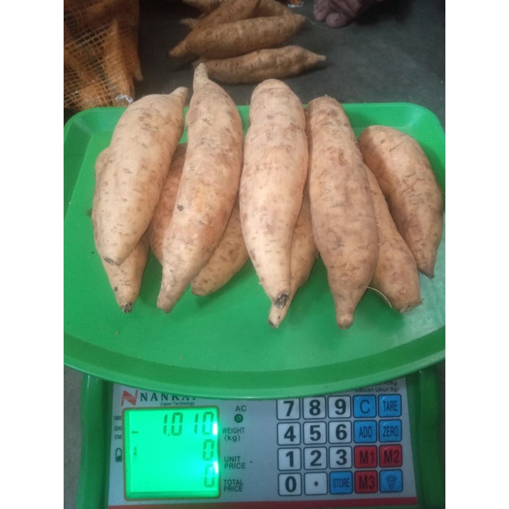 Jual ubi Cilembu si madu ukuran sedang | Shopee Indonesia