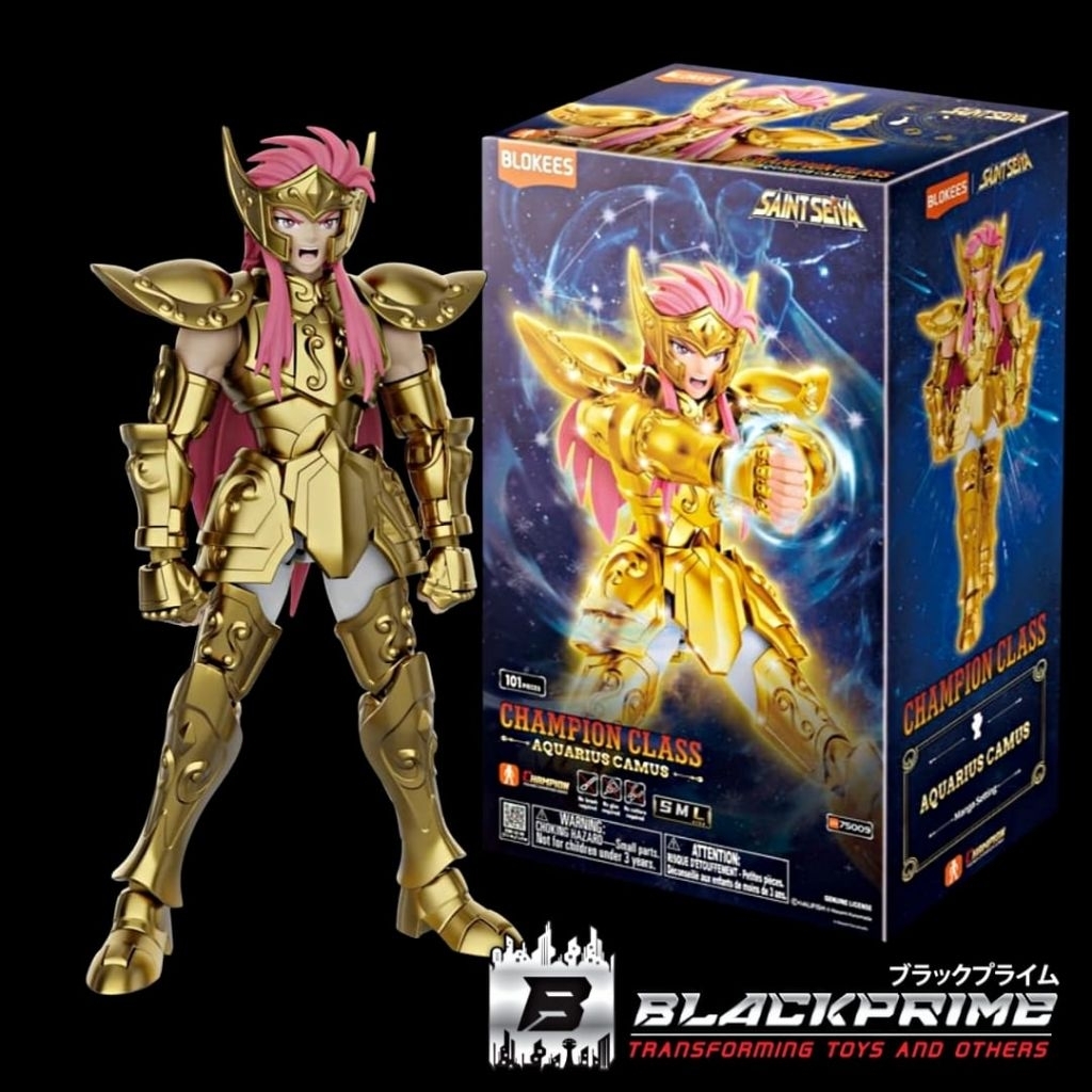 Jual Blokees Saint Seiya Champion Class CC08 Aquarius Camus model kit ...