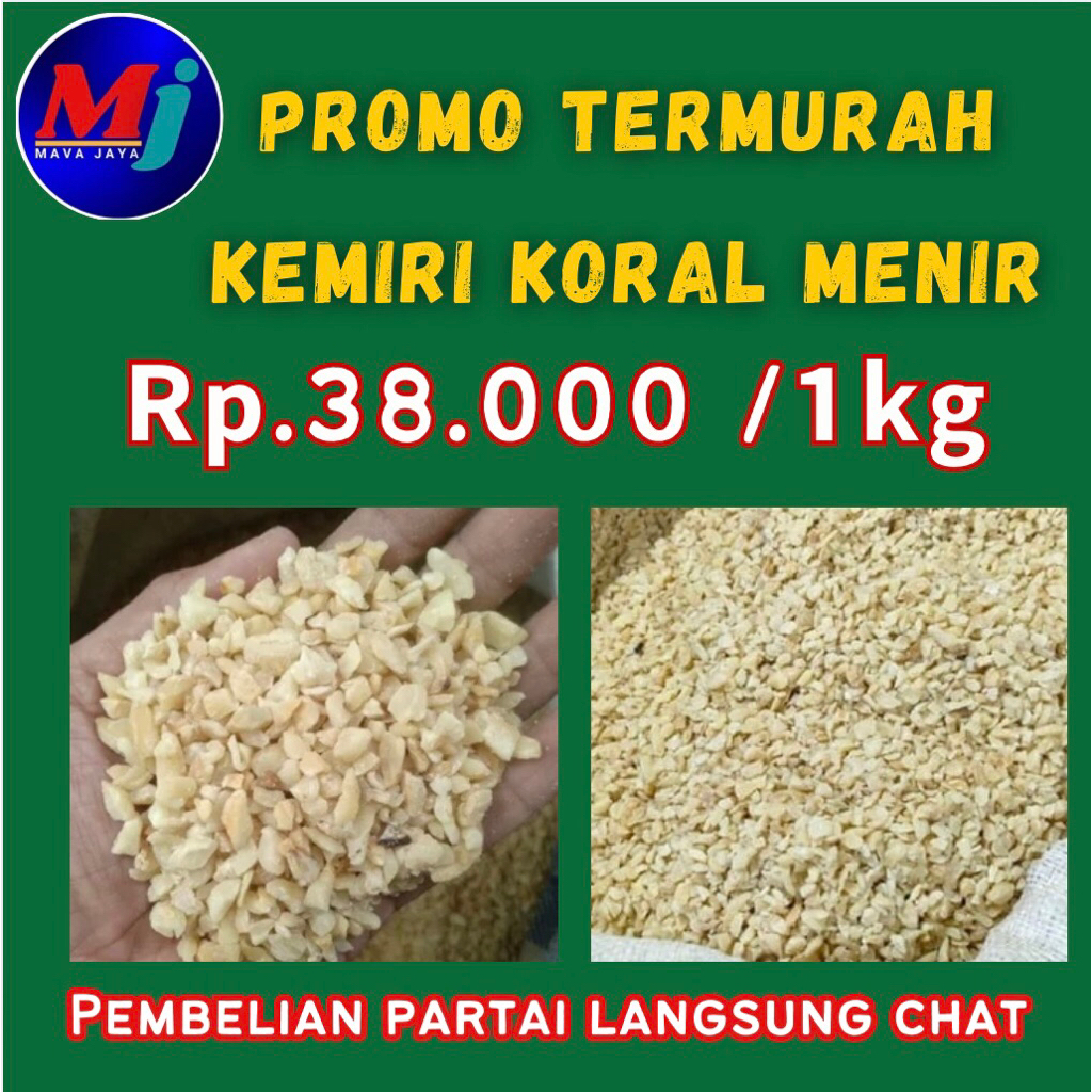 Jual kemiri koral menir/1kg/kemiri menir super murah | Shopee Indonesia