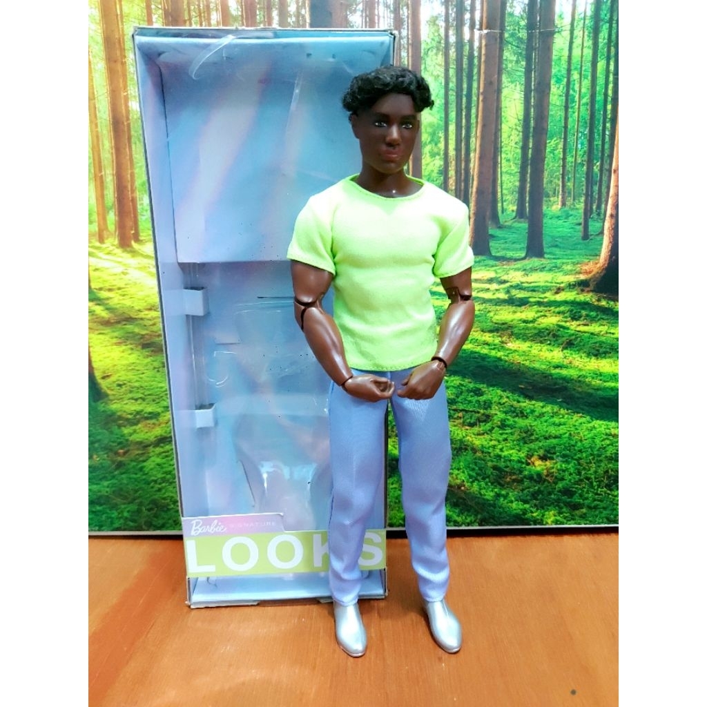 Jual Ken Looks #25(liat depskripsi sblm co) | Shopee Indonesia