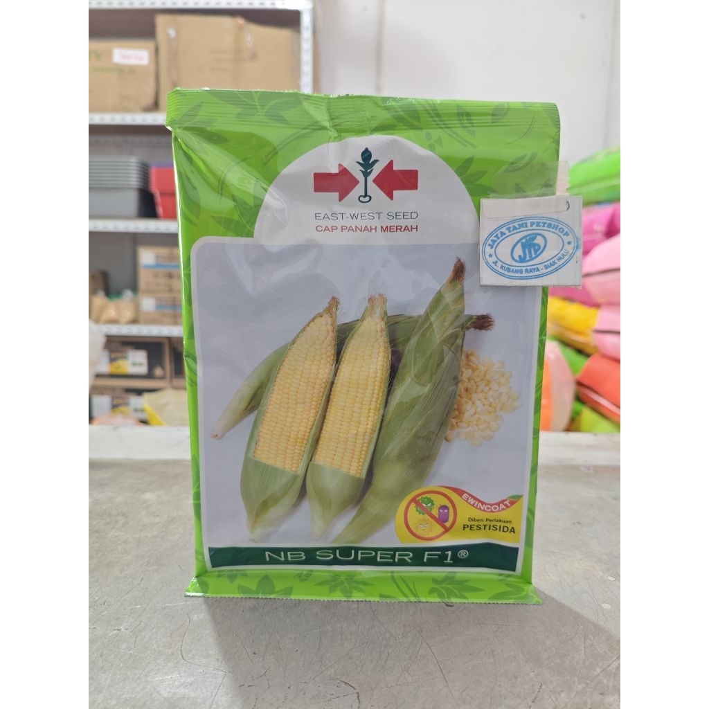 Jual Benih bibit jagung manis NB super f1 cap panah merah | Shopee ...