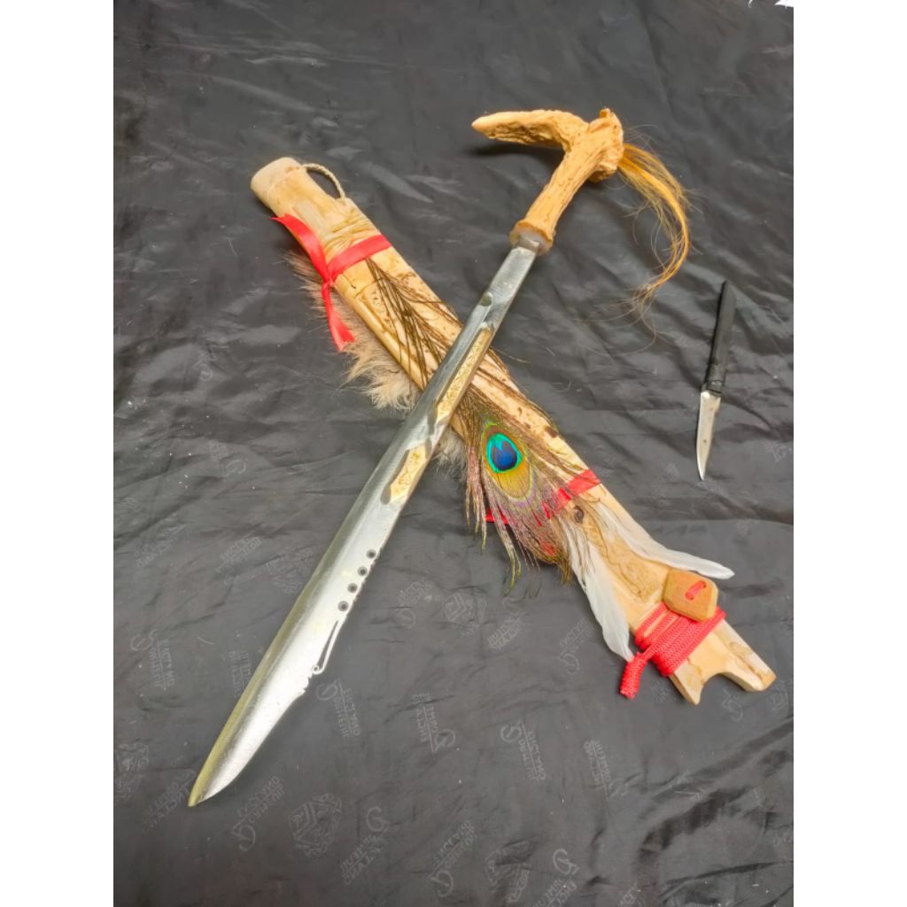 Jual Man Dau Dayak Asli Kalimantan | Shopee Indonesia