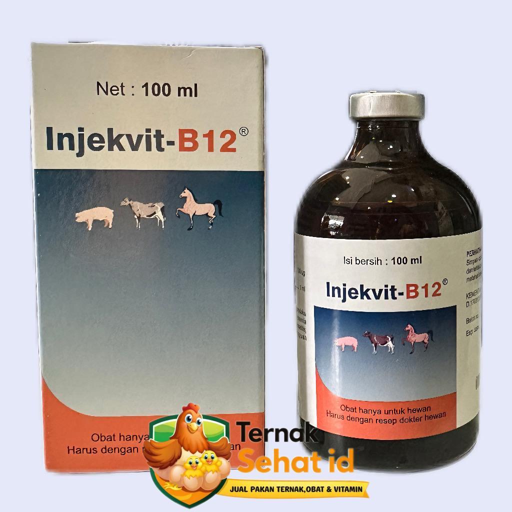 Jual Injekvit-B12 100ml - Vitamin B12 Injeksi untuk Sapi Kambing Domba ...