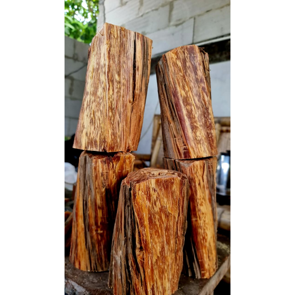 Jual Fatwood/Bonggol Kayu Pinus Ukuran Besar Full Resin/kering alami ...