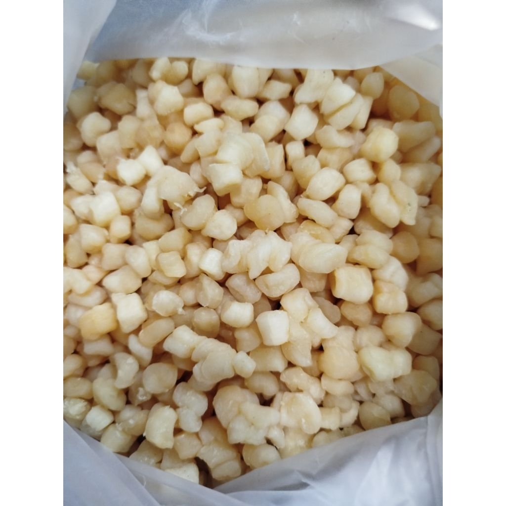 Jual Scallop Kering Dried Scallop Dry Scalop Kecil 100 gram | Shopee ...