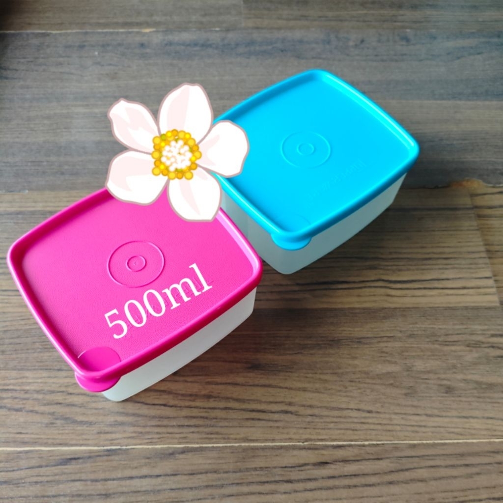 Jual small square round bening Tupperware harga satuan | Shopee Indonesia