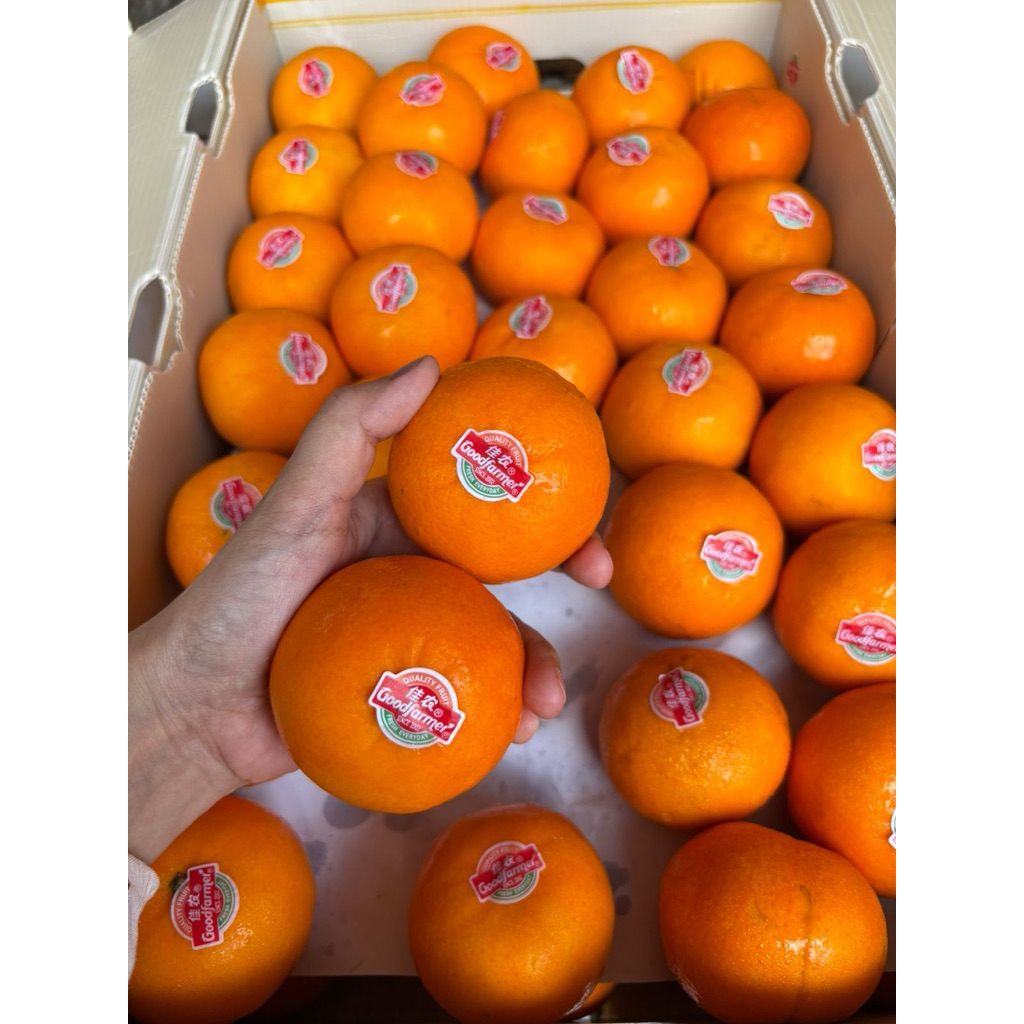 Jual Jeruk Wogan Mandarin Premium Best Quality | Shopee Indonesia