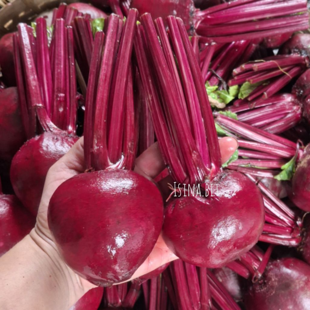 Jual Buah Bit Terlengkap & Harga Terbaru April 2026 | Shopee Indonesia