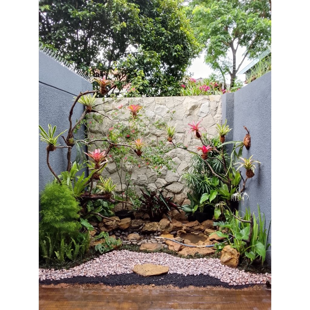 Jual Aviary Mini Terlengkap & Harga Terbaru Mei 2026 | Shopee Indonesia