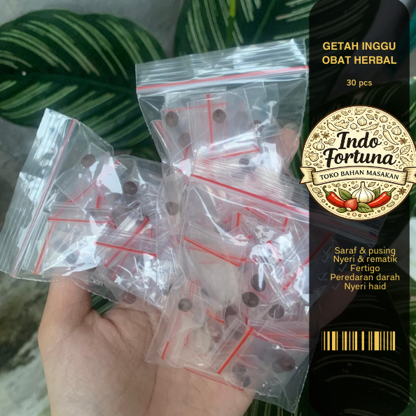 Jual Getah Inggu Obat Fertigo dan Batuk Herbal Tradisional | Isi 30 ...