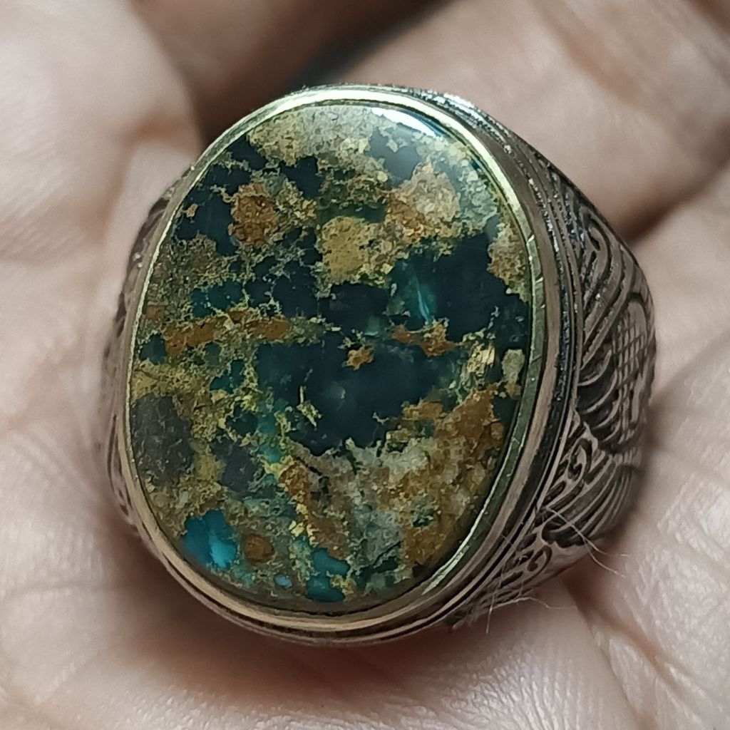 Jual Pirus persia hitam urat mas | Shopee Indonesia