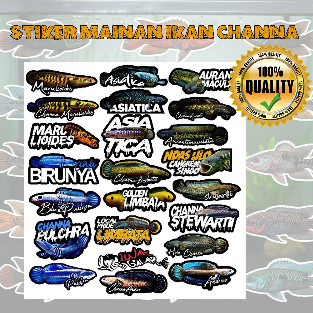 Jual Sticker Stiker Aquarium Channa Snakehead (Terlengkap) | Shopee ...