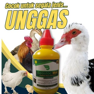 Jual 100% Ampuh Beostoc Mor Multivitamin Obat Herbal alami Untuk Segala ...