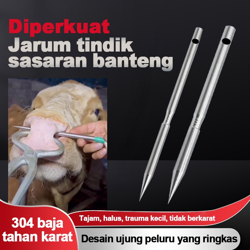 Jual Alat Tindik Hidung Hewan/Jarum Tindik Hidung Sapi Stainless Steel ...