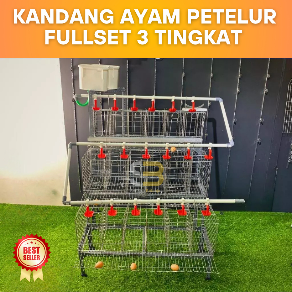Jual Kandang Ayam Petelur Fullset 3 Tingkat Siap Pakai, Siap Panen ...