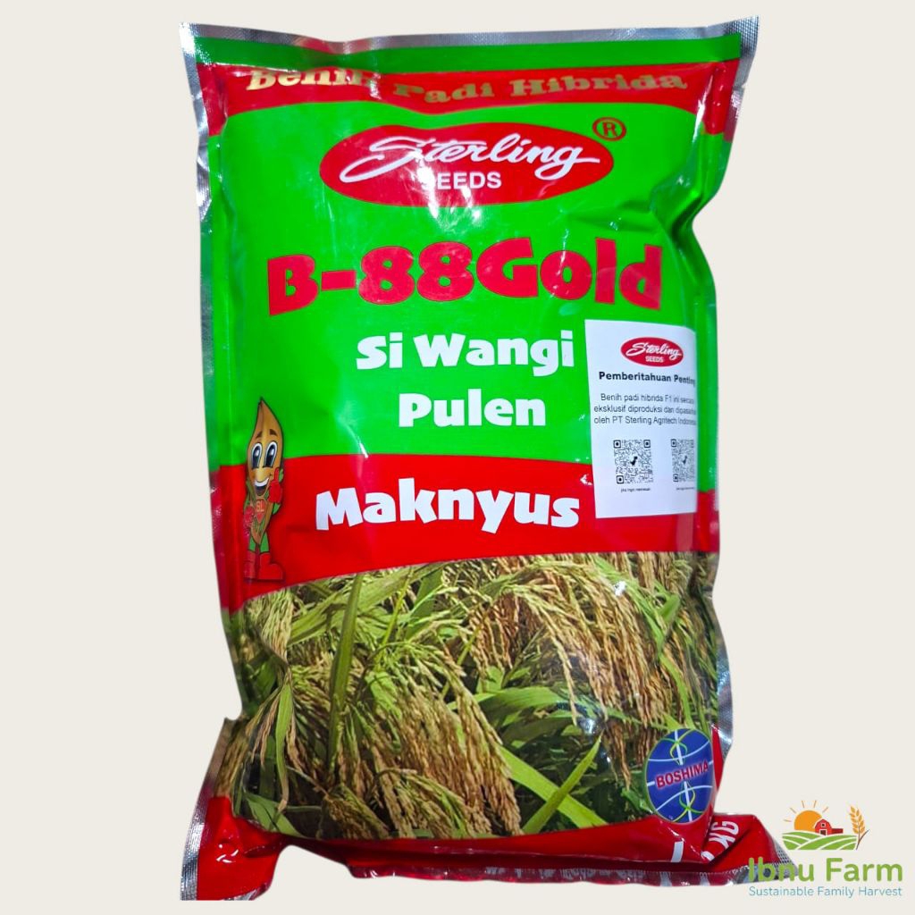 Jual Benih Padi Hibrida STERLING B-88 GOLD Original Produk Kemasan 1Kg ...