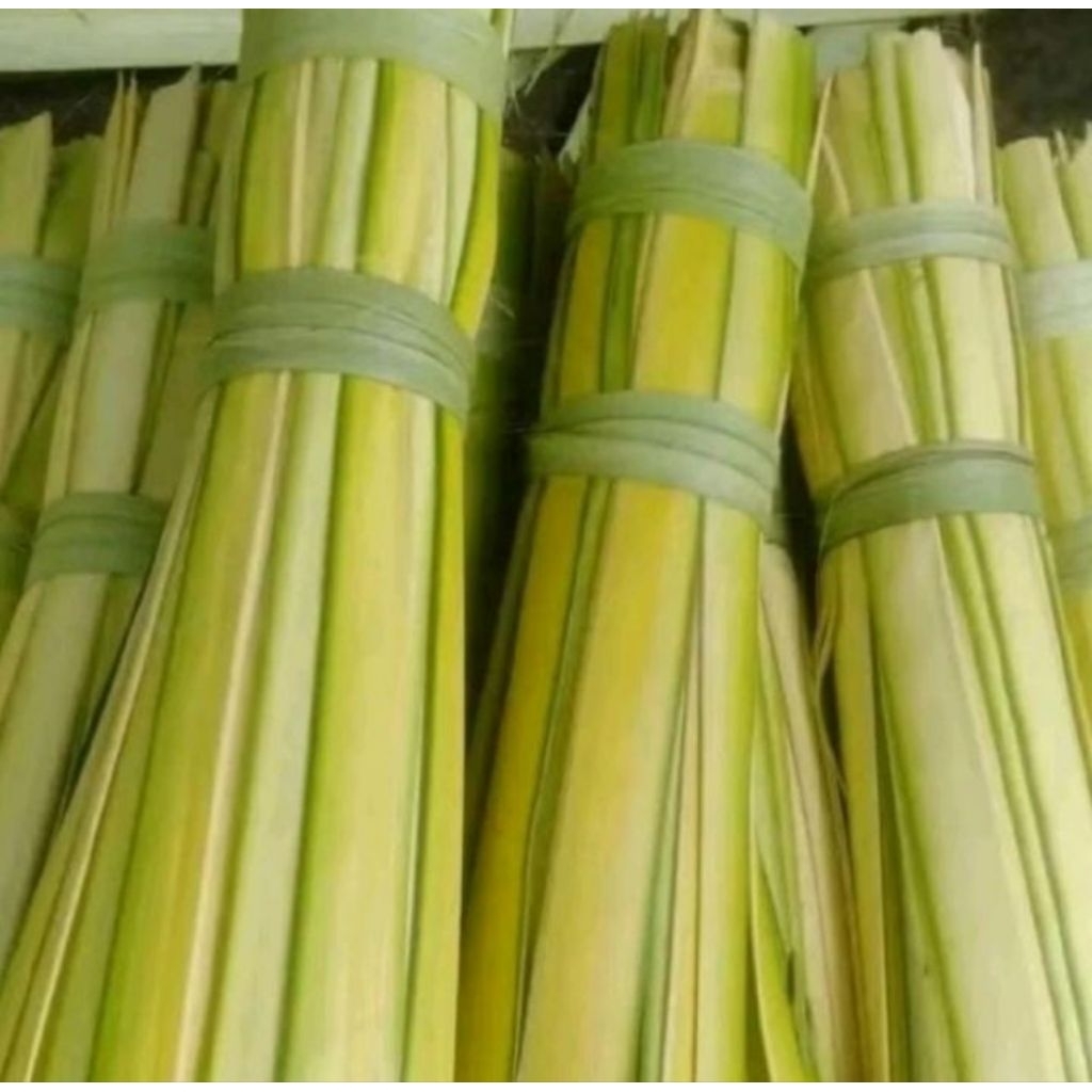 Jual janur kuning/daun kelapa muda per 30 pcs | Shopee Indonesia