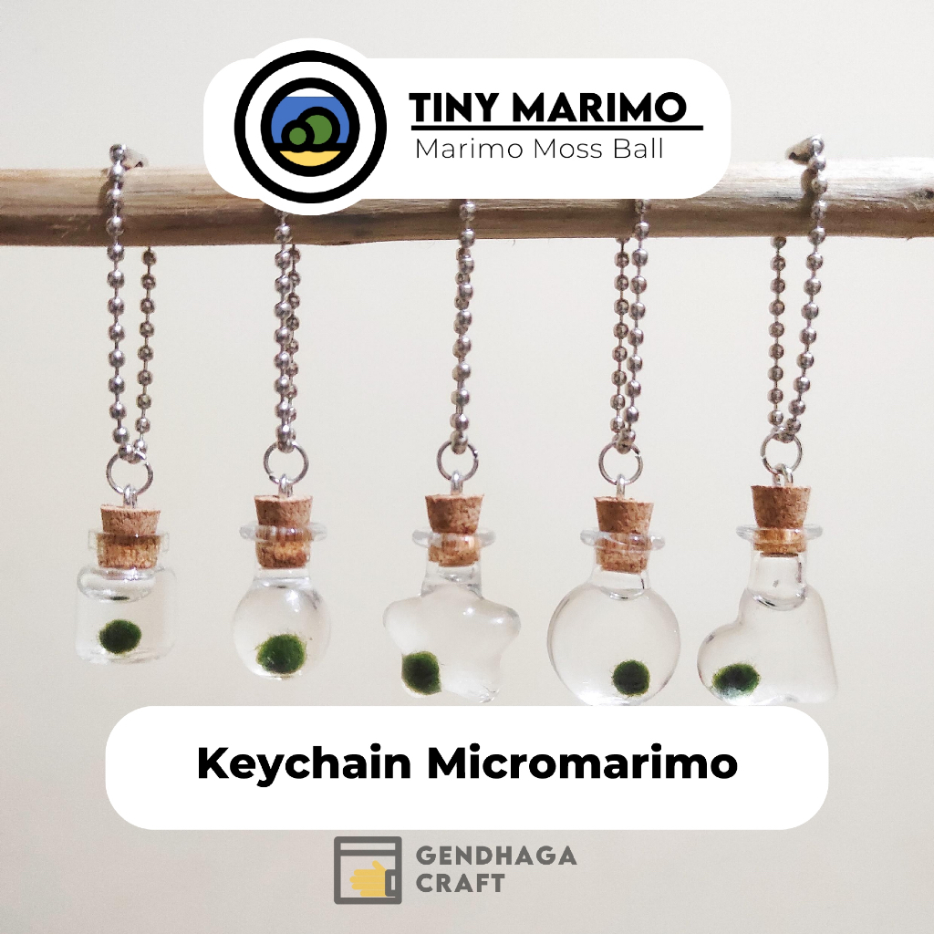Jual [DIY] Tiny Marimo - Keychain Micromarimo | Shopee Indonesia