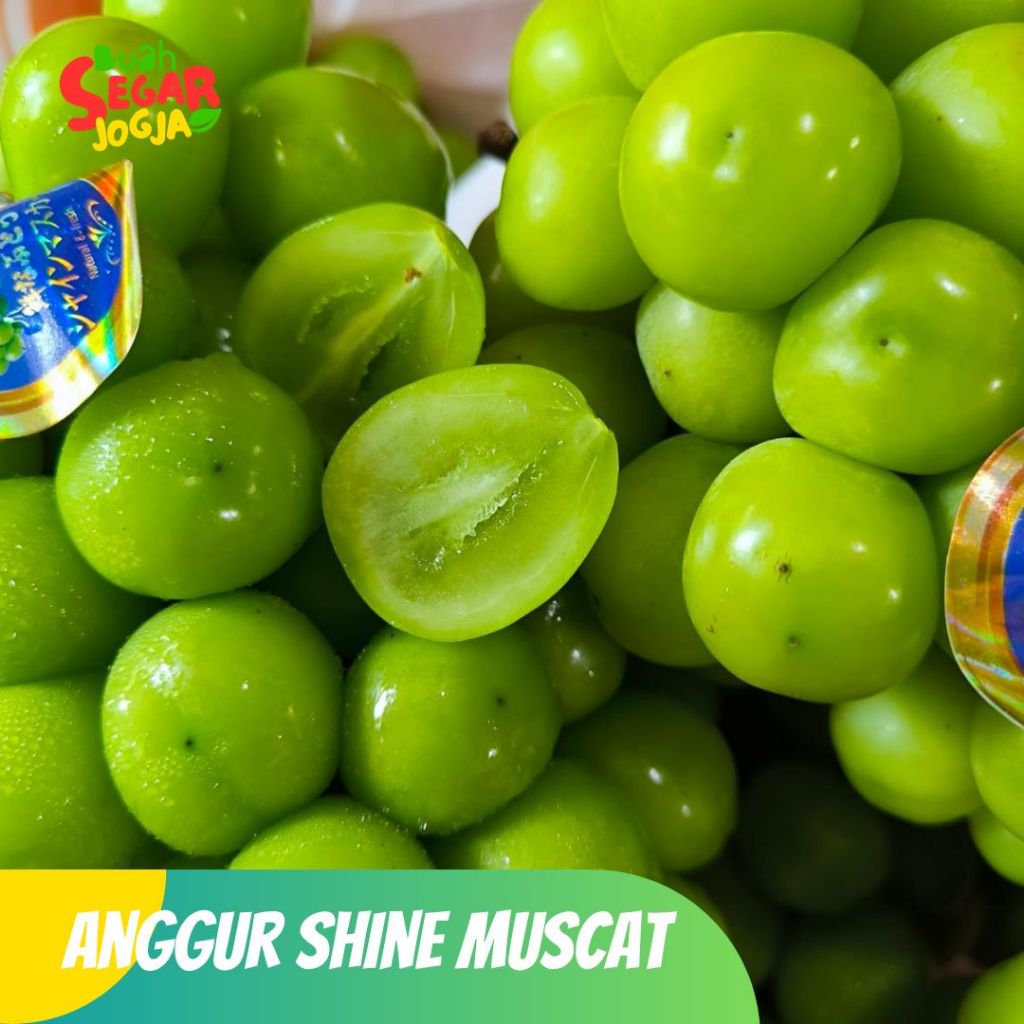 Jual Anggur Muscat Terlengkap & Harga Terbaru April 2026 | Shopee Indonesia