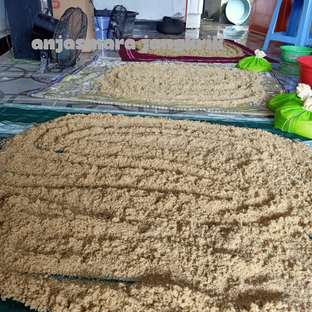 Jual Telur Jangkrik Alam 5 ons, Telur Alam Sliring Terek Mbering 500 ...