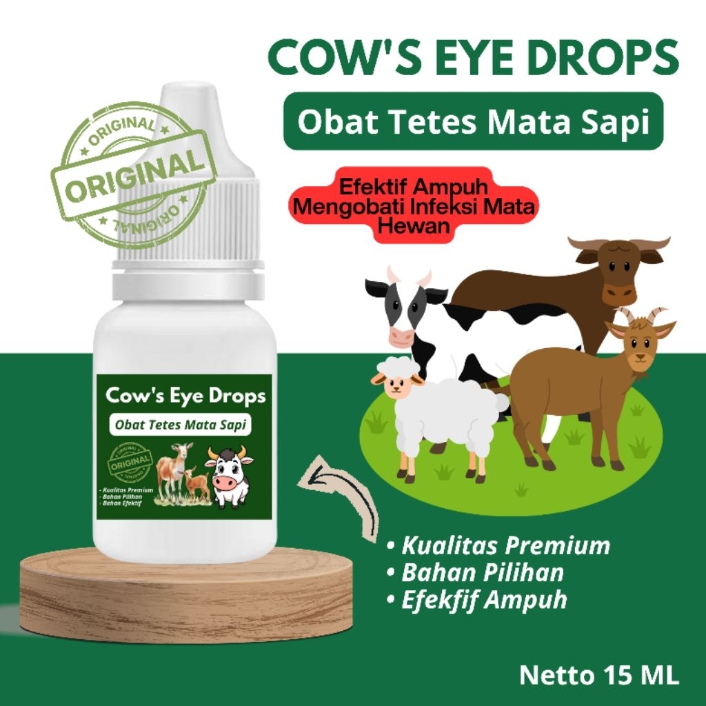 Jual basic feed UNTUK SAPI KAMBING cows eye drops 15ml obat tetes mata ...
