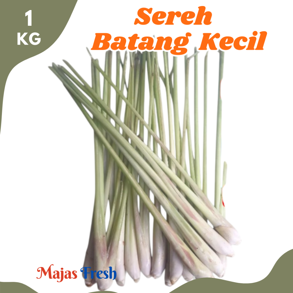 Jual SEREH BATANG KECIL Segar - Batang Serai Kecil Fresh | 1.000gr ...