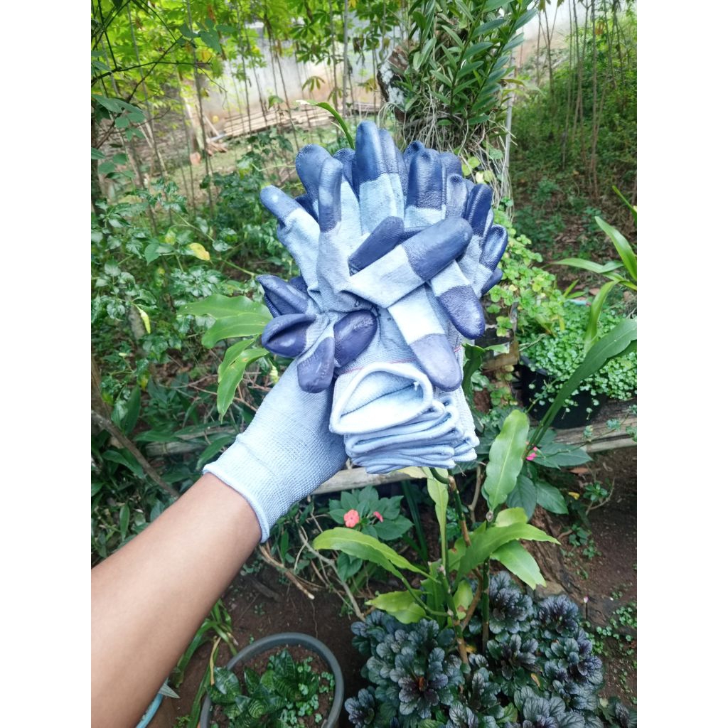 Jual Recycle sarunga tangan comet jari 1 lusin layak pakai kaos tangan ...