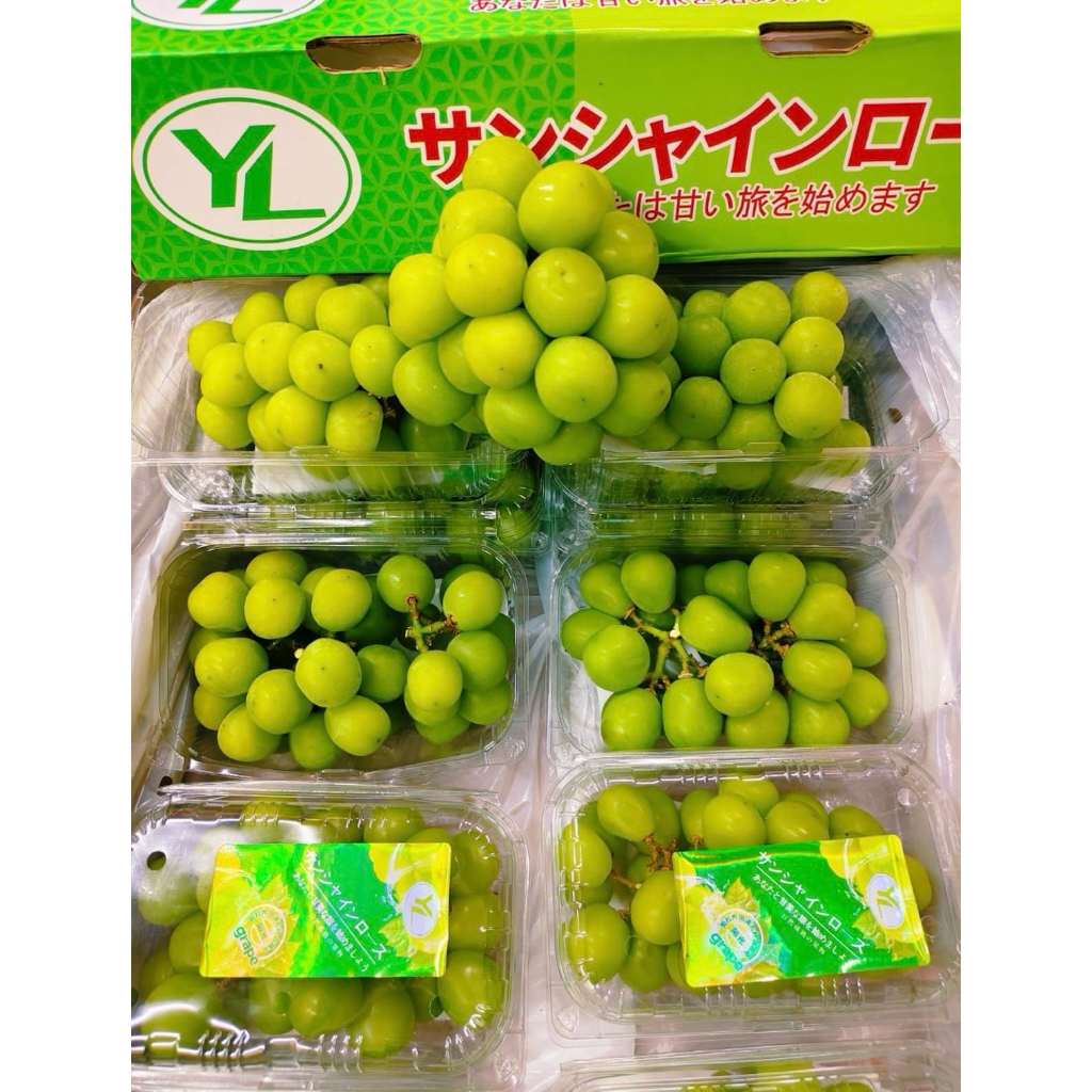 Jual Anggur Shine Muscat Pack - 500gram | Shopee Indonesia