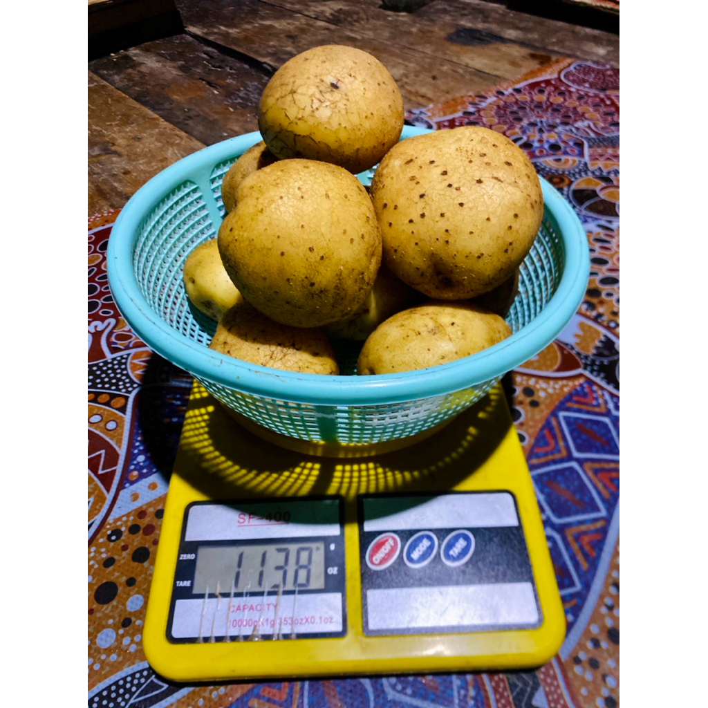 Jual kentang grade ukuran besar fres 1 kg | Shopee Indonesia
