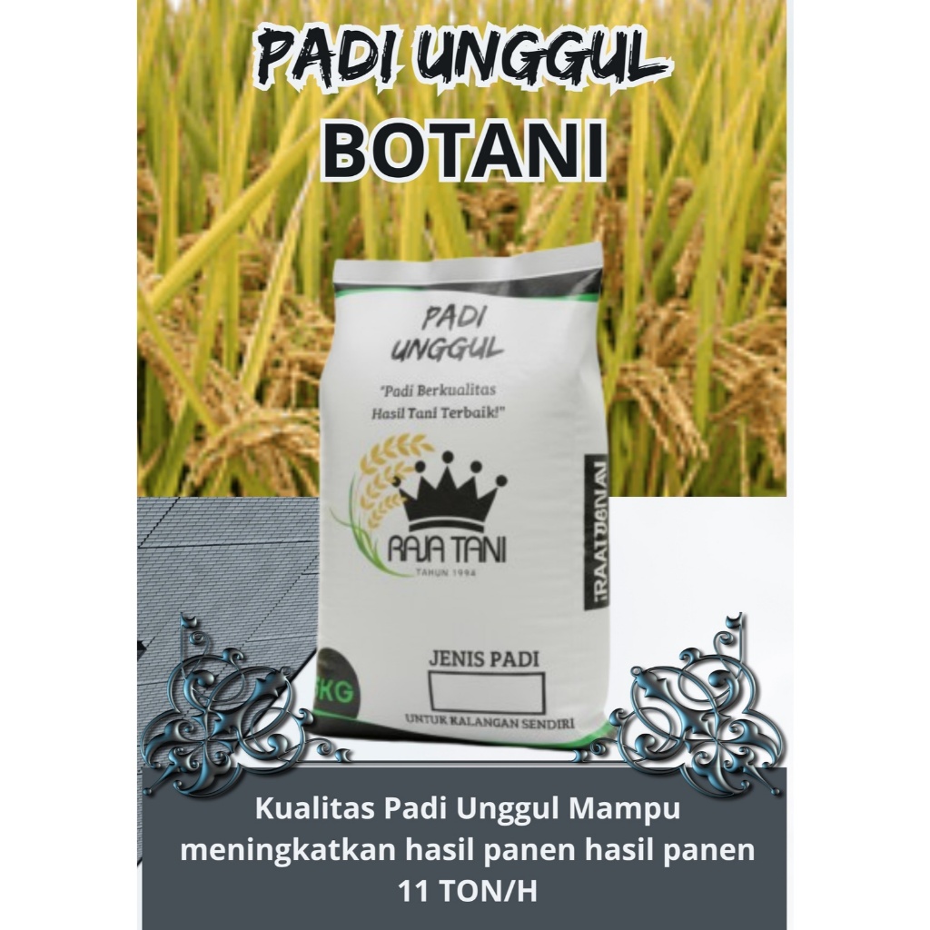 Jual Benih padi IPB 9G 5Kg original botani seed IPB | Shopee Indonesia