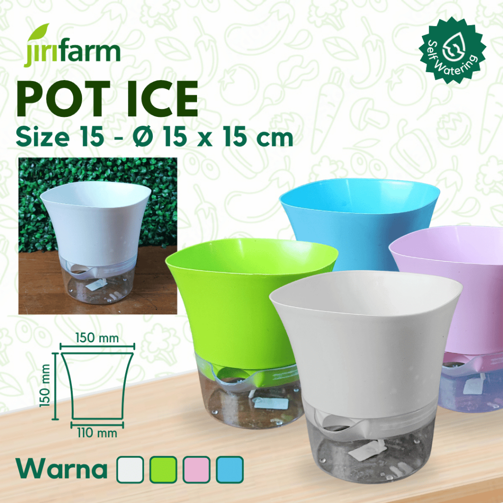 Jual JIRIFARM - Pot Bunga Ice Bucket Diameter 15 - Tanaman Hias ...