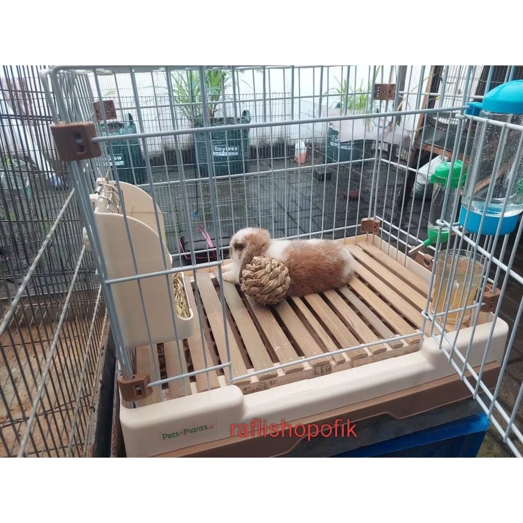 Jual ALAS BAMBU FOOT REST ALAS KANDANG RAPIH 60X40 FULL BAMBU | Shopee ...