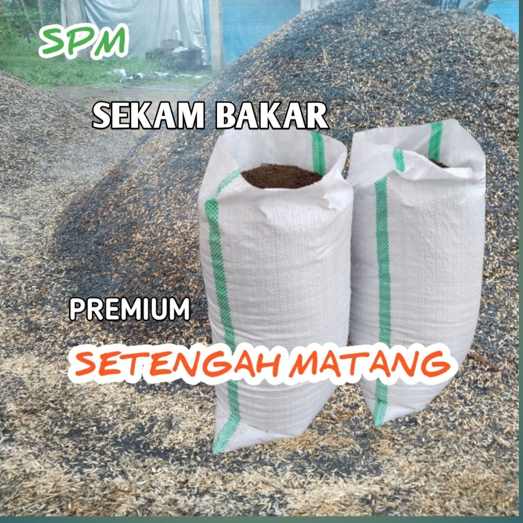 Jual Setengah mateng sekam Bakar 1 karung beras ukuran 10kg ( bukan ...