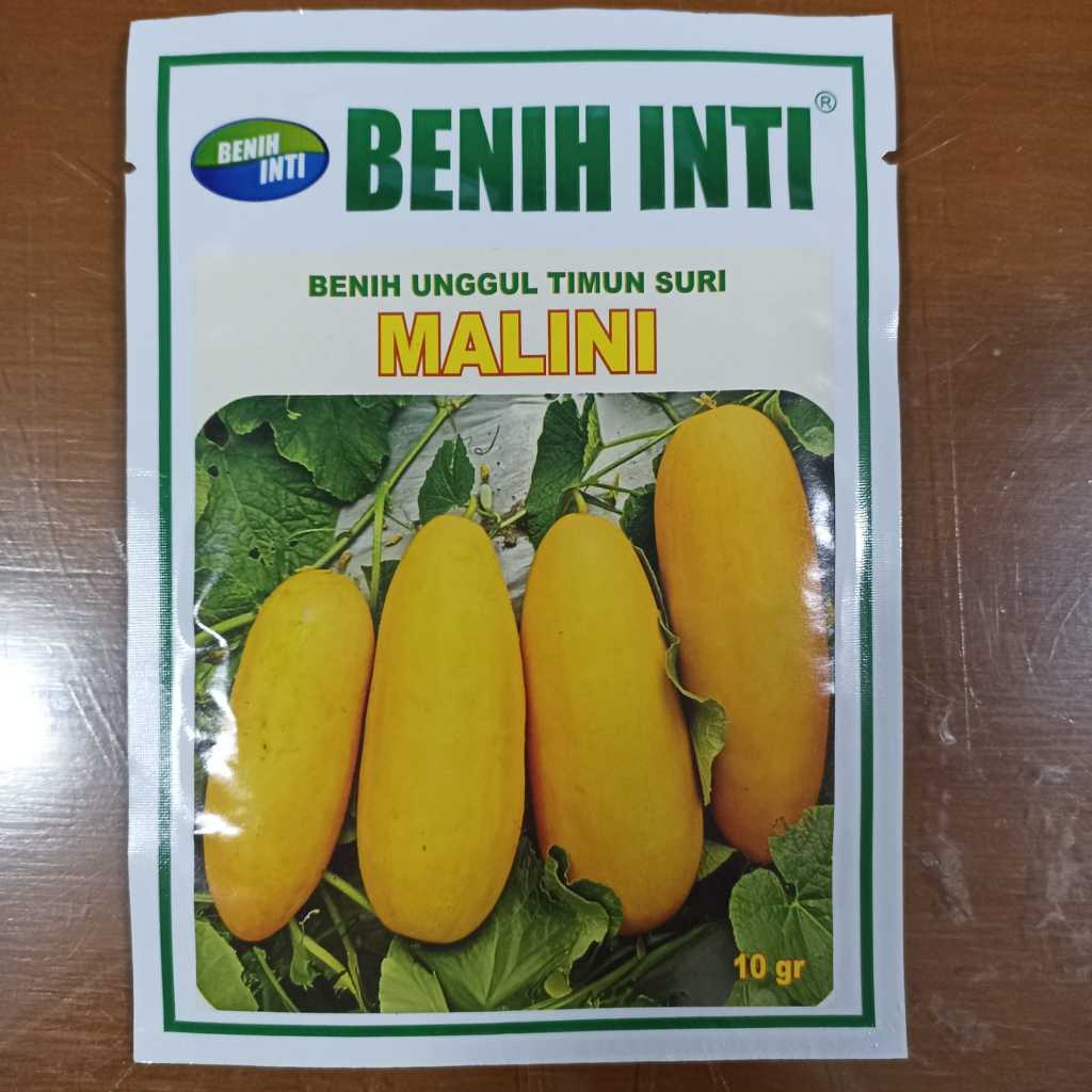 Jual Benih Unggul Timun Suri Timun suri Malini 10 gram Dataran Rendah ...